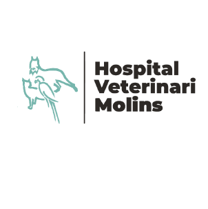 Servicios veterinarios | veterinarios en Barcelona - Hospital ...